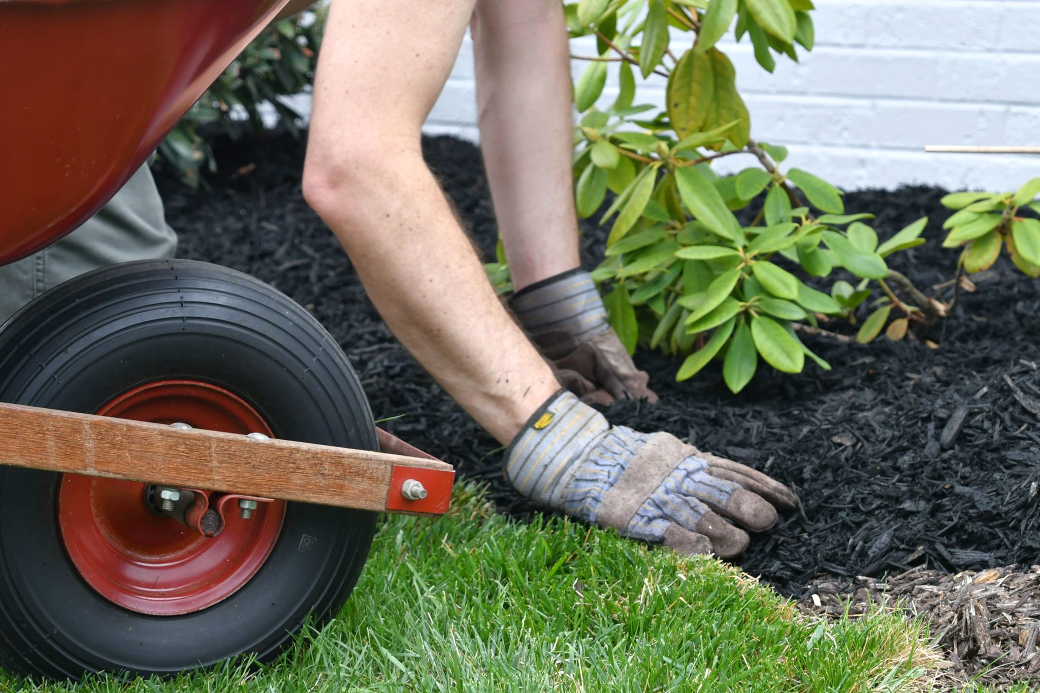 Garden Maintenance | Frank's Lawn and Tree Services