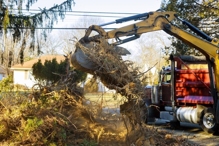 Garden Maintenance | Frank's Lawn and Tree Services